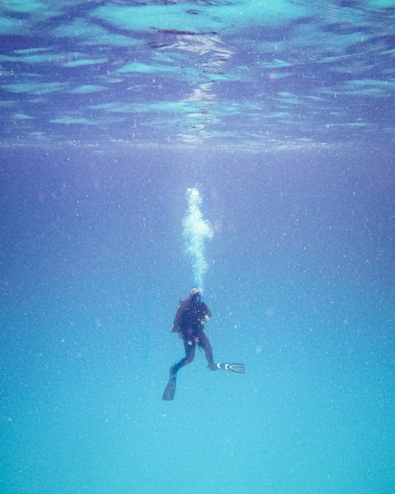 Scuba Diving in Cozumel with Stingrays and Sea Turtles Photos and Video