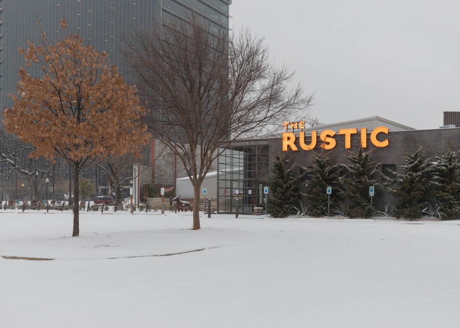 Dallas Winter Storm Photos 2021, A City Covered With Snow