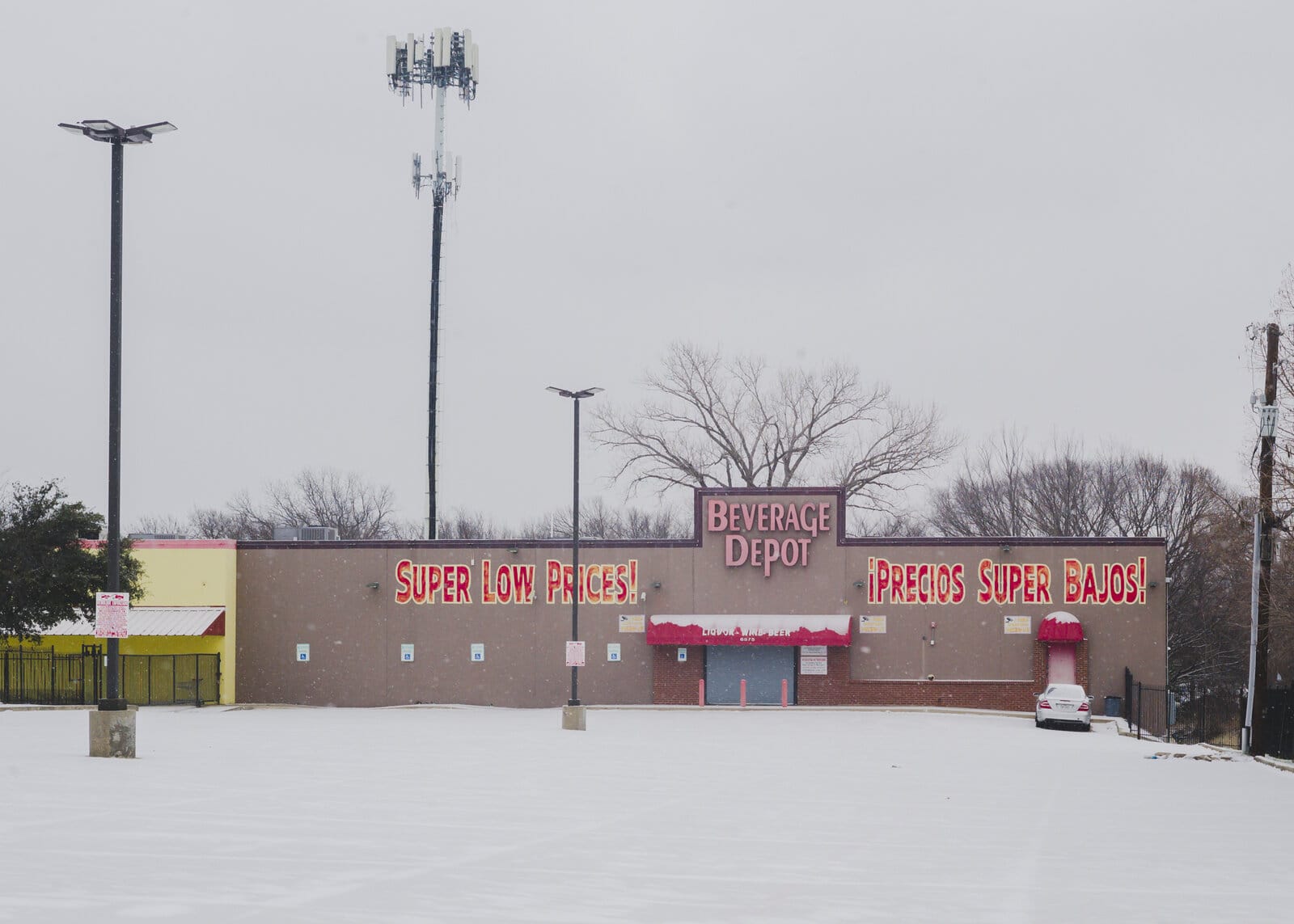 Snow in Dallas Creates Frozen Moments of Urban Serenity
